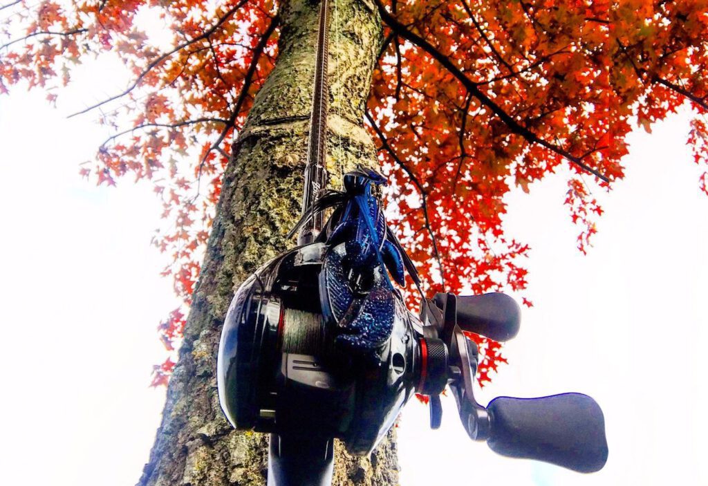 Fall Season Bass Fishing – All You Need To Know About Baits