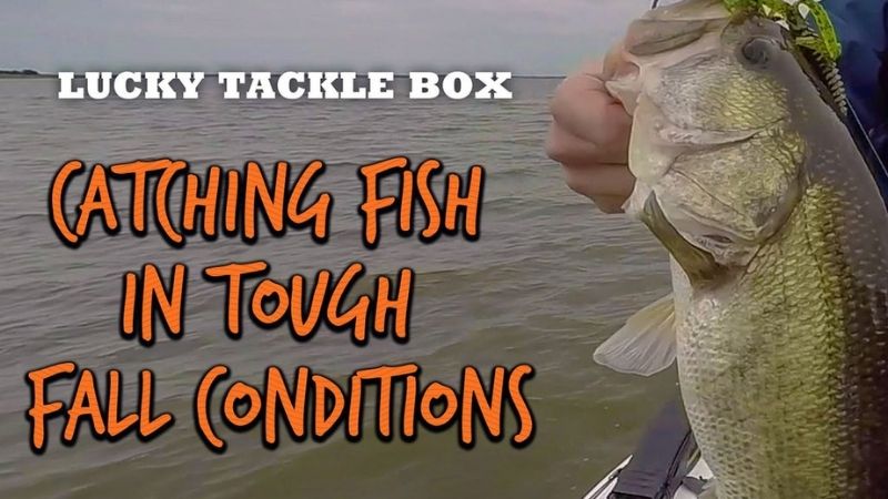 Fall Fishing Explained – 10 Minutes That Will Change Your Life