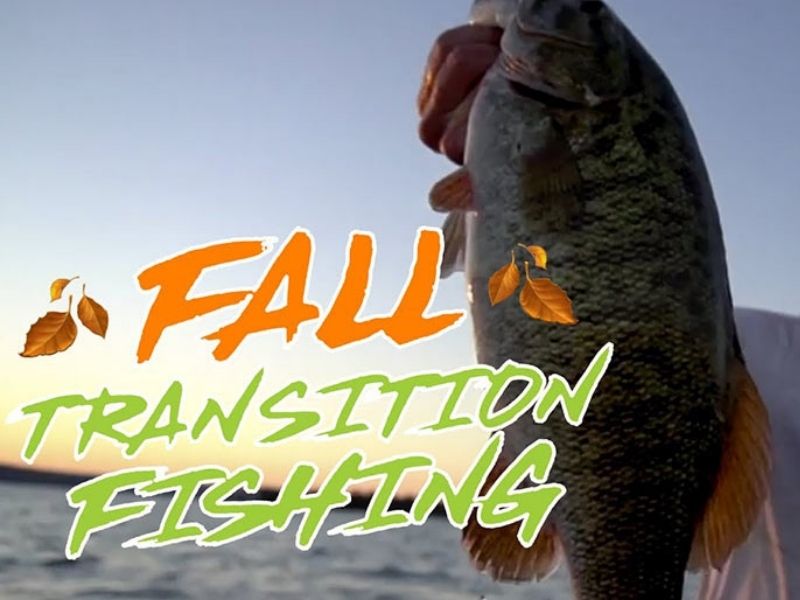 Bass Fishing – From Summer To Fall