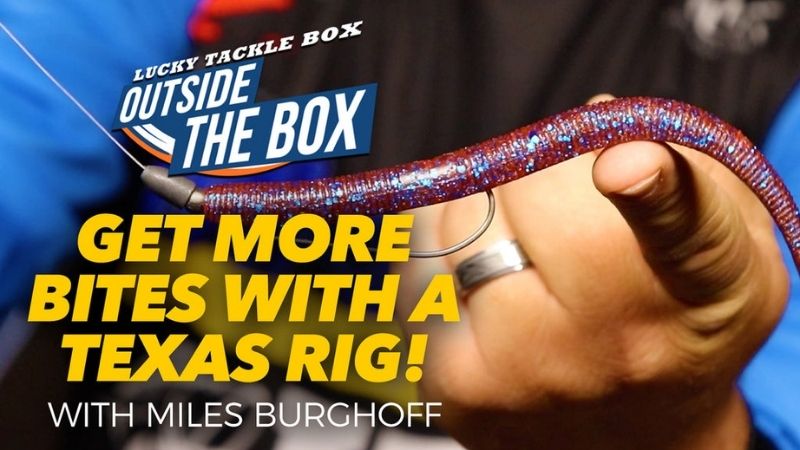 Texas Rig – Make Your Bass Crazy