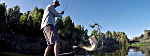 How And When To Rig A Stick Bait