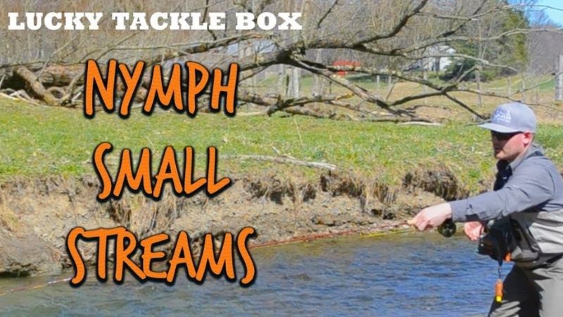 Stream Fishing – Trout Hunt