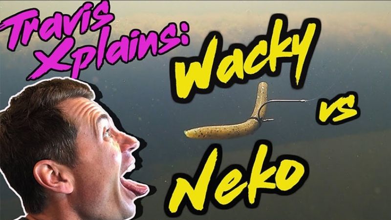 Different Bait – Different Bite